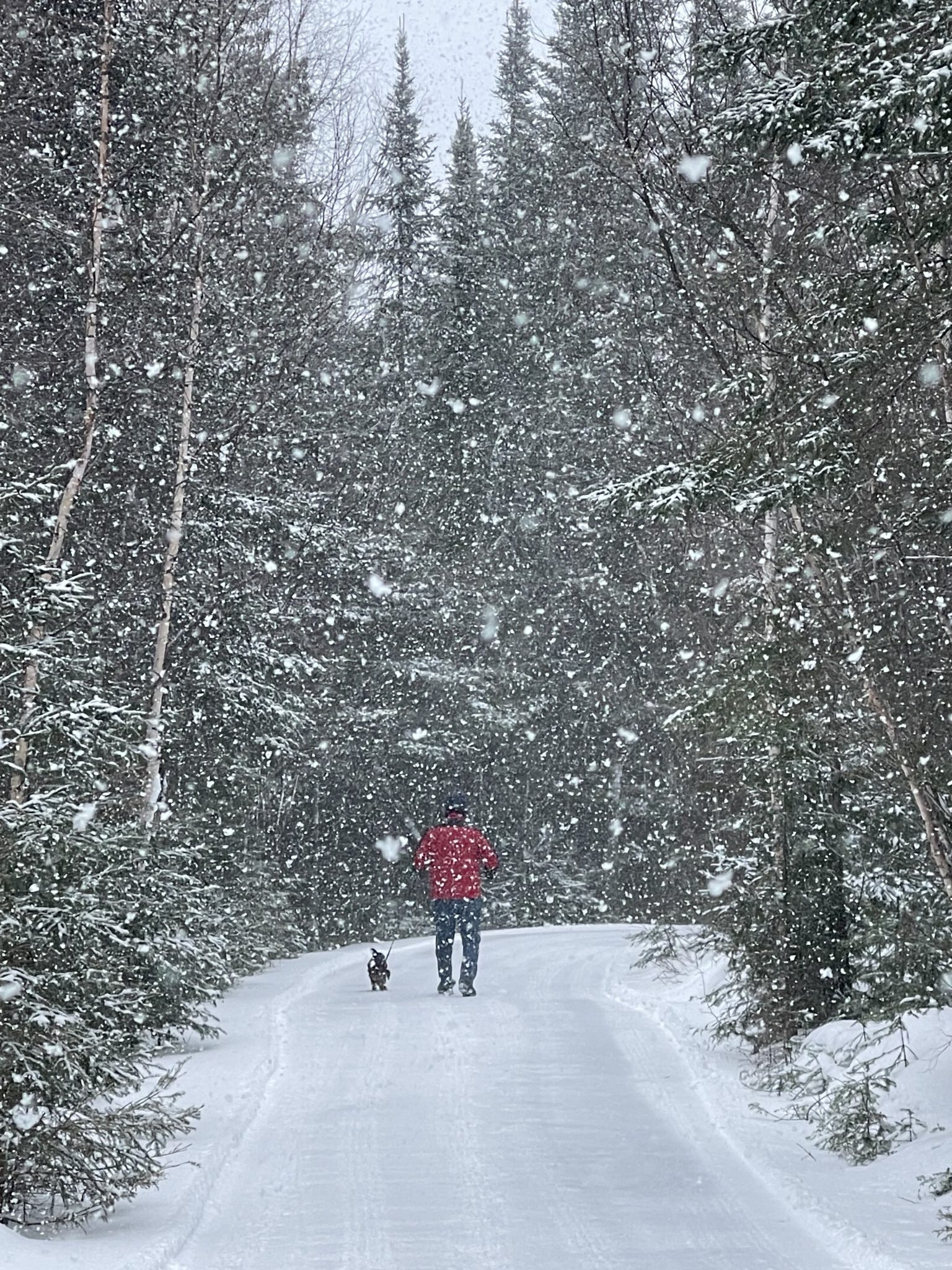 The Art of Minnesota Winter | Minnesota Monthly